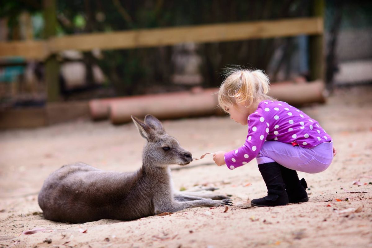 5 Best Family Friendly Activities in Perth - The Sebel