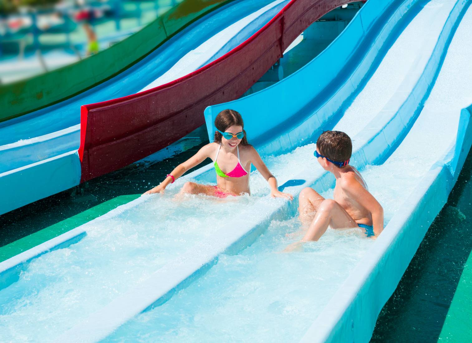 5 Best Family Friendly Activities In Perth The Sebel